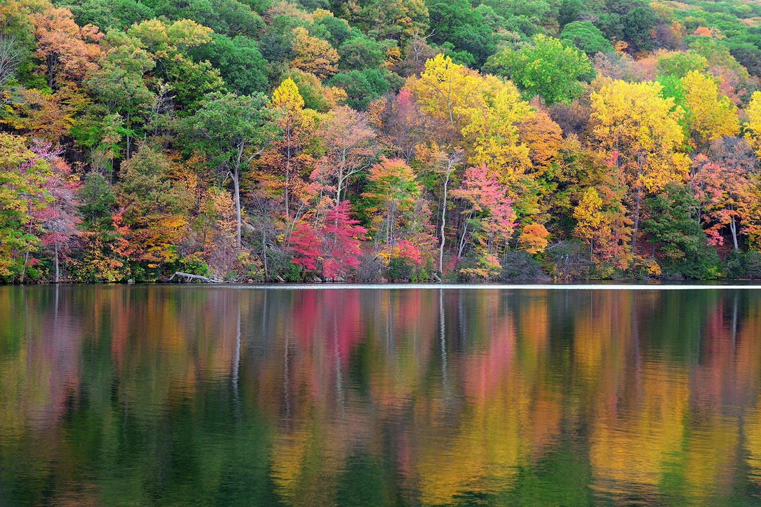 5 Lakes To Fish This Fall - Yellow Bird Fishing Products