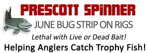 June Bug Strip-On Rig - Yellow Bird Fishing Products