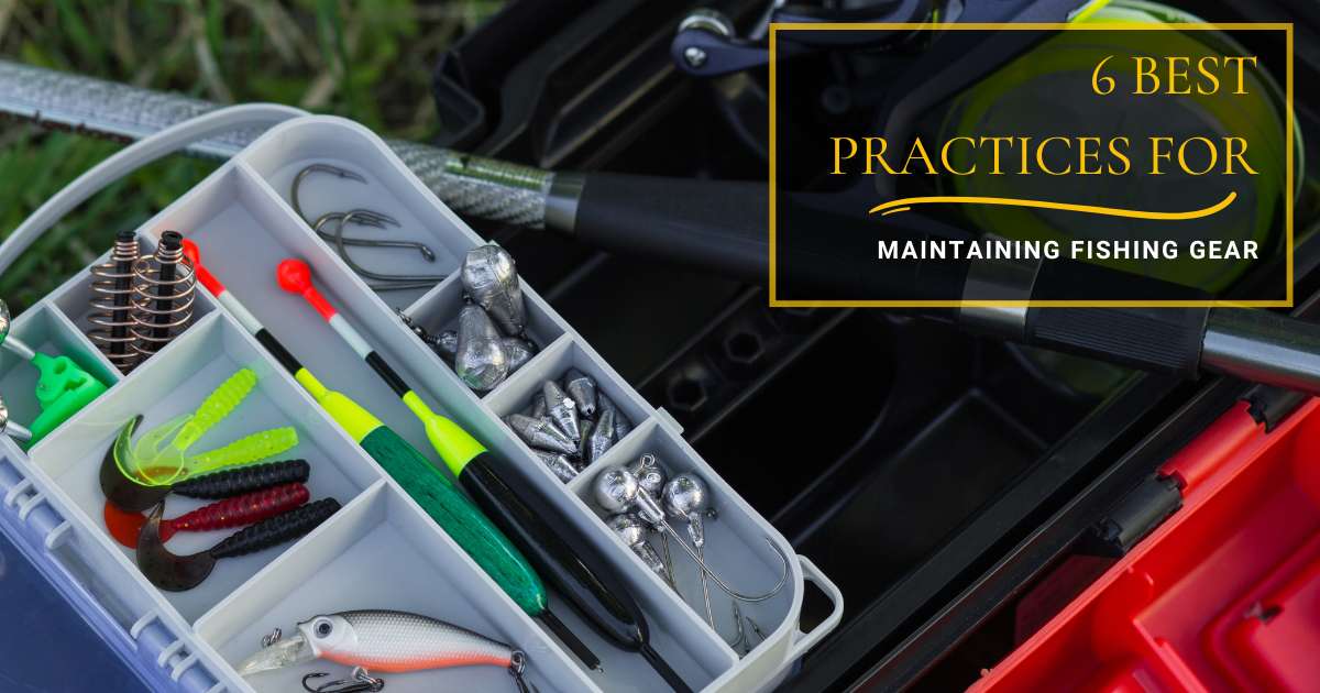 6 Best Practices for Maintaining Fishing Gear - Yellow Bird Fishing ...