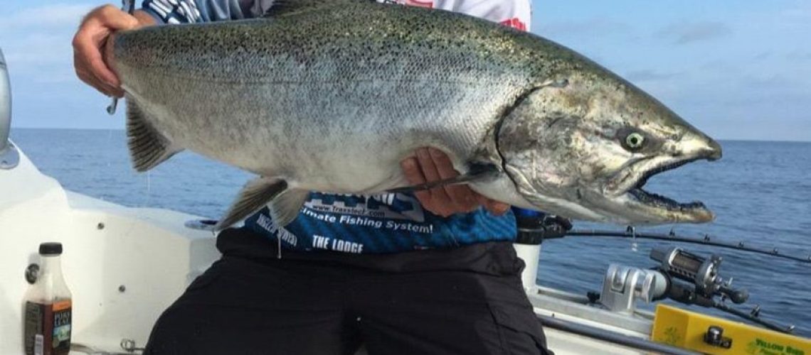 A Quick Reference Guide to Troll Fishing - Yellow Bird Fishing Products