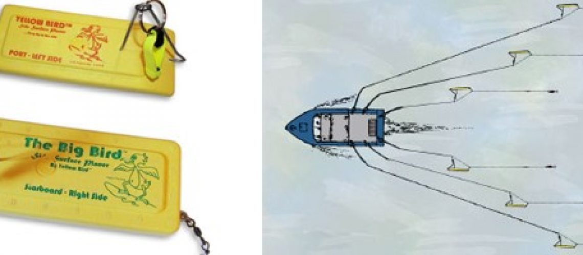 Using Planers Can Help Conserve Fish Resources - Yellow Bird Fishing Products